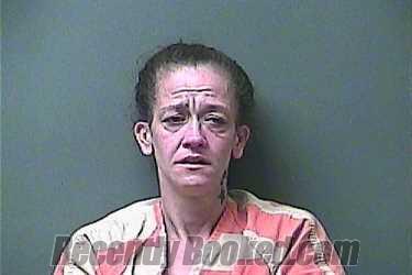 Recent Booking / Mugshot for SHERRY LYNN MCCLELLAN in La Porte County ...