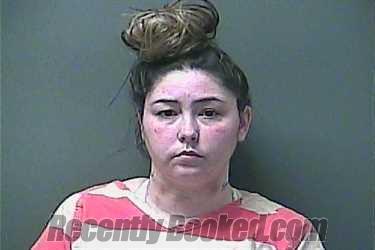 Recent Booking / Mugshot for STEPHANIE E SMOLKA in La Porte County, Indiana