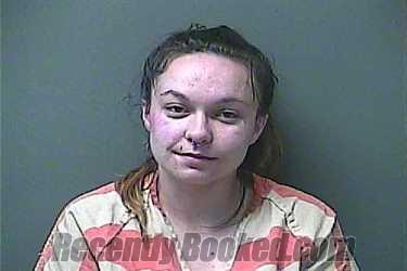 Recent Booking / Mugshot for VICTORIA ROSE VASQUEZ in La Porte County ...