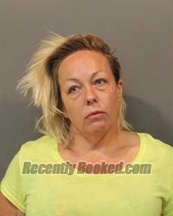 Recent Booking / Mugshot for AMY NICOLE COLLINS in Lake County, Indiana