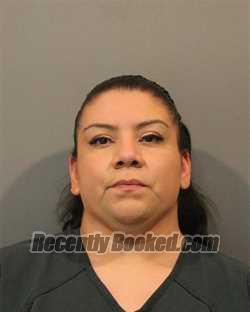 Recent Booking / Mugshot for ELSA RAMIREZ in Lake County, Indiana