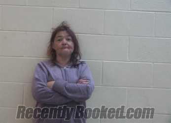 TONYA CATHERINE WOLF Arrest Record & Booking Info – Lake County ...