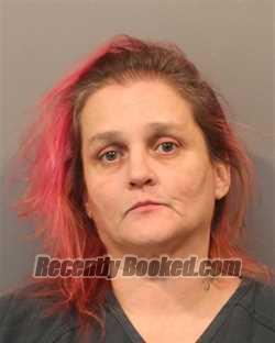 Jeanine Ann Hill Mugshot & Arrest Info | Lake County, IN