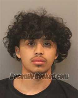 NOAH VILLARREAL Arrest Record & Booking Info – Lake County, Indiana ...