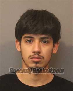 Recent Booking / Mugshot for CHRISTOPHER JAHIR MARTINEZ in Lake County ...