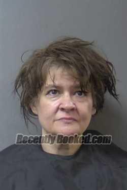Recent Booking / Mugshot for Virginia Ann Callender in Madison County ...