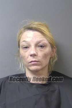 Recent Booking / Mugshot for Shannan Kathleen Dailey in Madison County ...