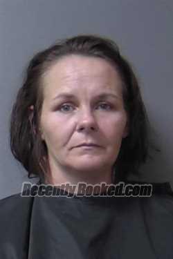 Recent Booking / Mugshot for Carla Sue Winningham in Madison County ...