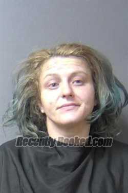 Recent Booking / Mugshot for Heather Marie Williams in Madison County ...