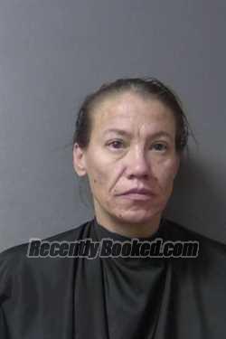 Recent Booking / Mugshot for Carly Beth Hofmann in Madison County, Indiana