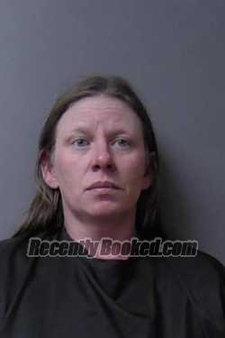 Recent Booking / Mugshot for Jessica Lynn Cunningham in Madison County ...