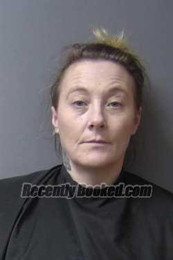 Recent Booking / Mugshot for Erika Marie Mahaney in Madison County, Indiana