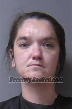 Recent Booking / Mugshot for Dannielle Dawn Stickler in Madison County ...