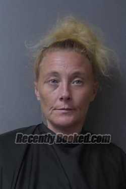 Recent Booking / Mugshot for Erika Marie Mahaney in Madison County, Indiana