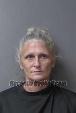Recent Booking / Mugshot for Lisa Dawn Heflin in Madison County, Indiana