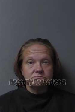 Recent Booking / Mugshot for Rachel Renea Johnson in Madison County ...