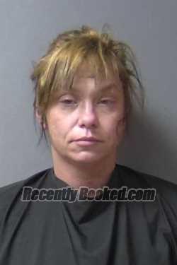 Recent Booking / Mugshot for Ashley Diane Wood in Madison County, Indiana