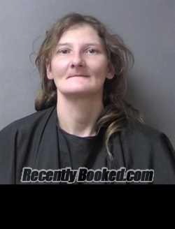 Recent Booking / Mugshot for Alison Michelle Wills in Madison County ...