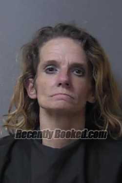 Minnie Louise Sulteen Mugshot & Arrest Info | Madison County, IN