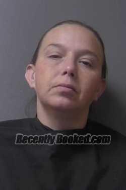 Recent Booking / Mugshot for Robyn Elizabeth Hensley in Madison County ...