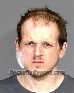 Recent Booking / Mugshot for TYLER STEVENS in Marion County, Indiana