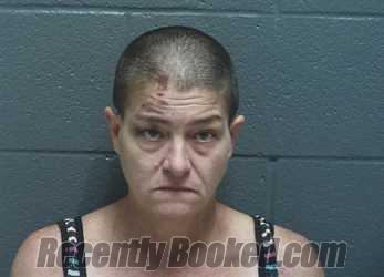 Recent Booking / Mugshot for MARVEL LYNN RITTER in Montgomery County ...