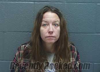 Recent Booking / Mugshot for CRYSTALYN DAWN JONES in Montgomery County ...