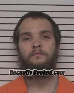 Recent Booking / Mugshot for LANDON LEE MEADOWS in Iredell County ...