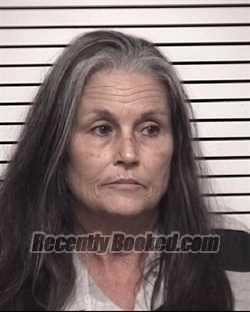 Recent Booking / Mugshot for BRIDGETTE DEAN CURTIS in Iredell County ...