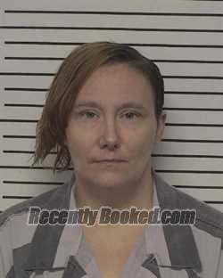 Recent Booking / Mugshot for TAMMY AMANDA SHUMAKE in Iredell County ...