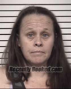 Recent Booking / Mugshot for JENNIFER IRENE PECK in Iredell County ...