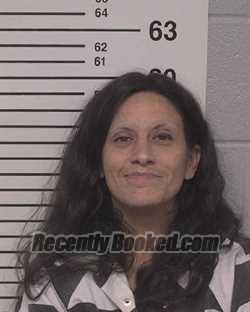 Recent Booking / Mugshot for STACEY ELIZABETH JOHNSON in Iredell County ...