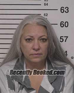 Recent Booking / Mugshot for CYNTHIA RENEE SHOOK in Iredell County ...