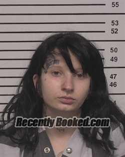 Recent Booking / Mugshot for BREANNA SARAH-LYNN SHAFFER in Iredell ...