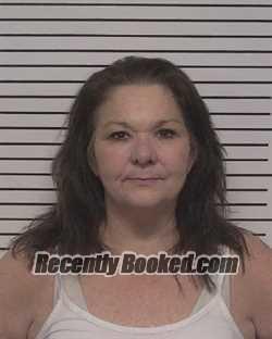 Recent Booking / Mugshot for CRYSTAL TANNER WALDROP in Iredell County ...