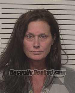 Recent Booking / Mugshot for SUSAN BRAWLEY GOEBELT in Iredell County ...