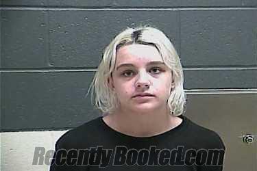 Recent Booking / Mugshot for SYDNEY ELIZABETH NELIS in Perry County ...