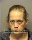 Recent Booking / Mugshot for DANIELLE MARIE MCCOMBS in Porter County ...