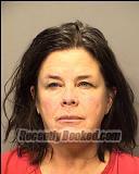 Recent Booking / Mugshot for JILL DENISE HENNING in Porter County, Indiana