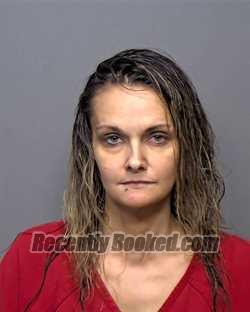 Amanda Gail Evans Arrest Record & Booking Info – Porter County, Indiana ...