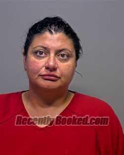 Ashley Morgan Fowler Arrest Record & Booking Info – Porter County ...