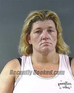 Recent Booking / Mugshot for ANGELA DARNELL in Posey County, Indiana