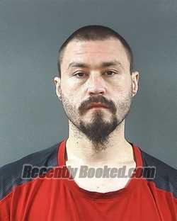 Recent Booking / Mugshot for CHRISTOPHER MICHAEL LIGGETT in Posey ...