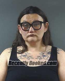 Recent Booking / Mugshot for HEATHER NICOLE BRODIE in Posey County, Indiana