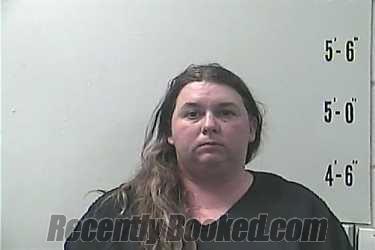 Recent Booking / Mugshot for AMANDA M ALLEN in Pulaski County, Indiana