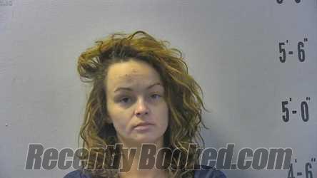 Recent Booking / Mugshot for ALYSSA BREANNE POWERS in Pulaski County ...