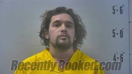 Recent Booking / Mugshot for BRETT AARON BENESH in Pulaski County, Indiana