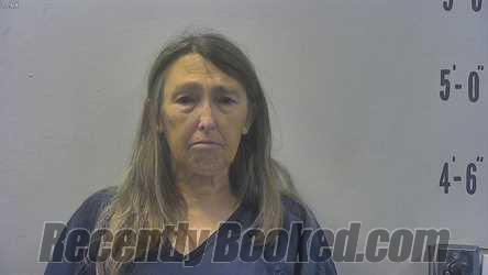 Recent Booking / Mugshot for BETH ANN FISH in Pulaski County, Indiana
