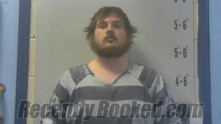 Recent Booking / Mugshot for BLAKE RAMSEY HENKE in Pulaski County, Indiana