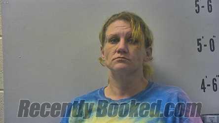 Recent Booking / Mugshot for BRITTNIE MARIE KANSCHAT in Pulaski County ...